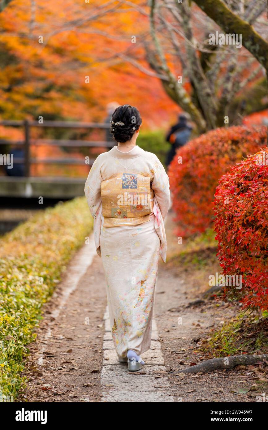 Japanese Female Kimono Portrait photography. Maple leaves turning red ...
