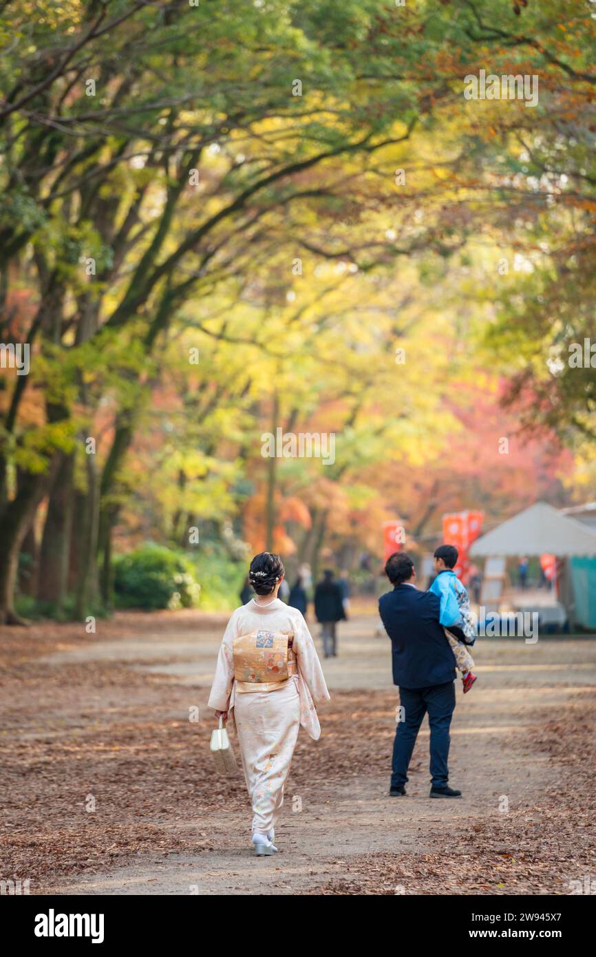 Back view a woman wearing Japanese traditional kimono. Kyoto in autumn ...