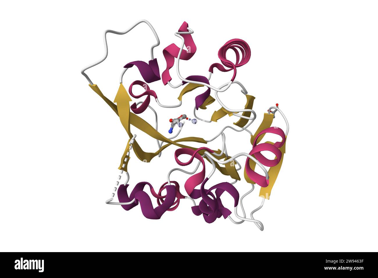 Lactonase hi-res stock photography and images - Alamy