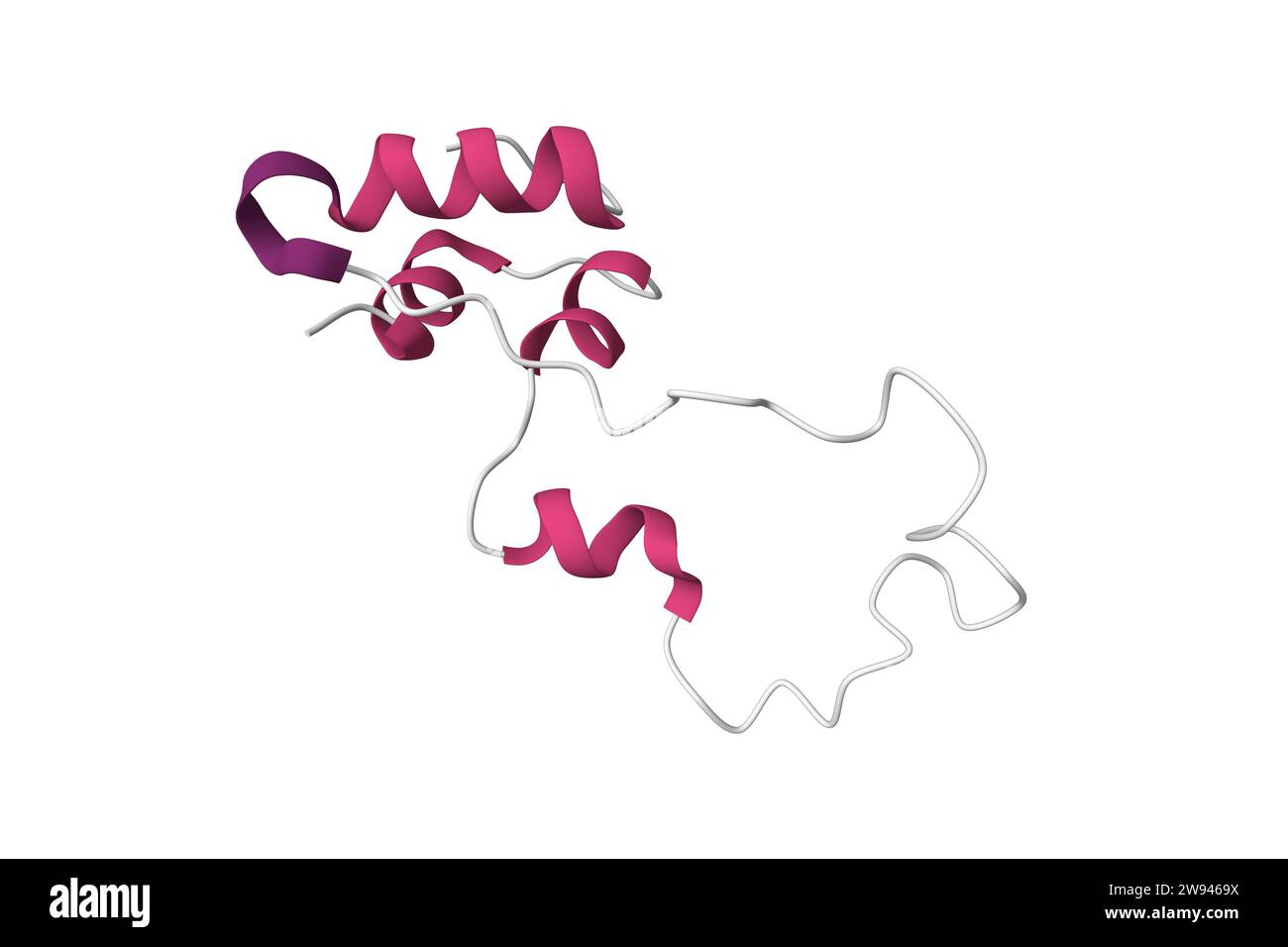 NMR structure of proinsulin. 3D cartoon model, secondary structure ...