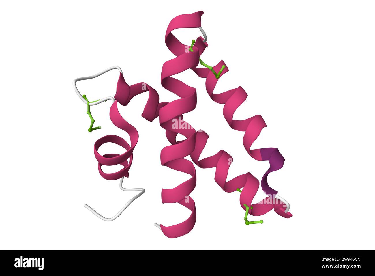Crystal structure of human saposin A. 3D cartoon model, secondary ...