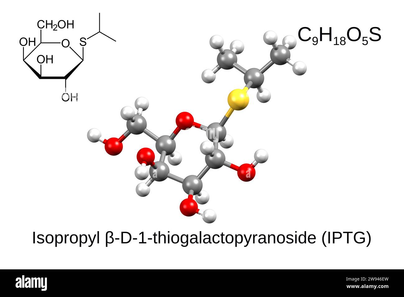 Chemical formula, structural formula and 3D ball-and-stick model of isopropyl β-d-1 ...