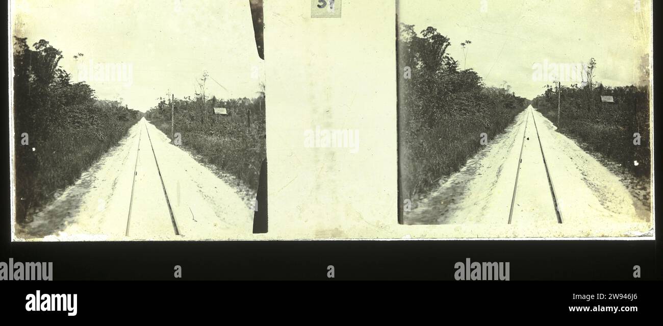 Spoorlijn, 1913 - 1930 stereograph Straight railway line. Suriname ...