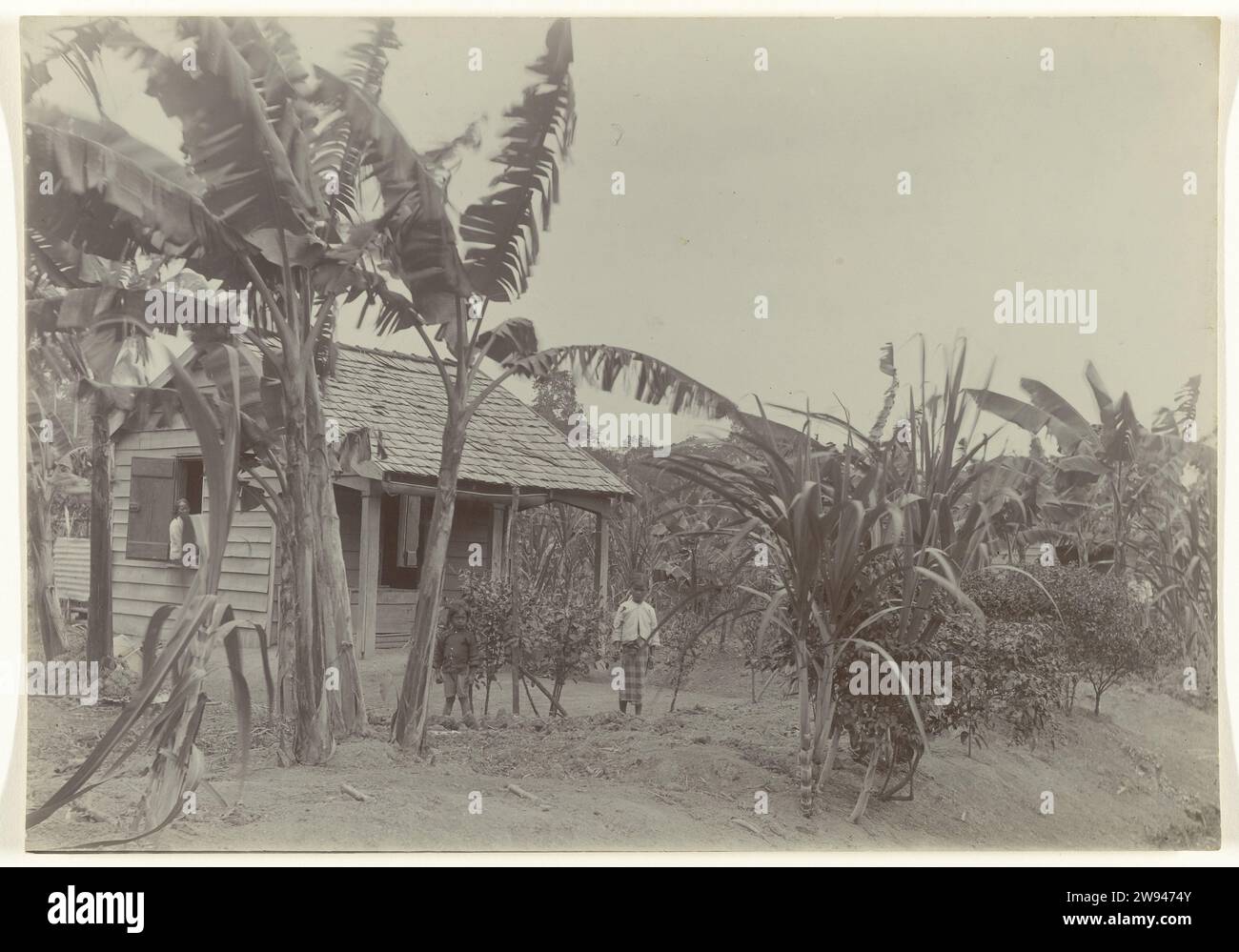 Workers' house with workers on the Johanna-Catherina plantation in ...