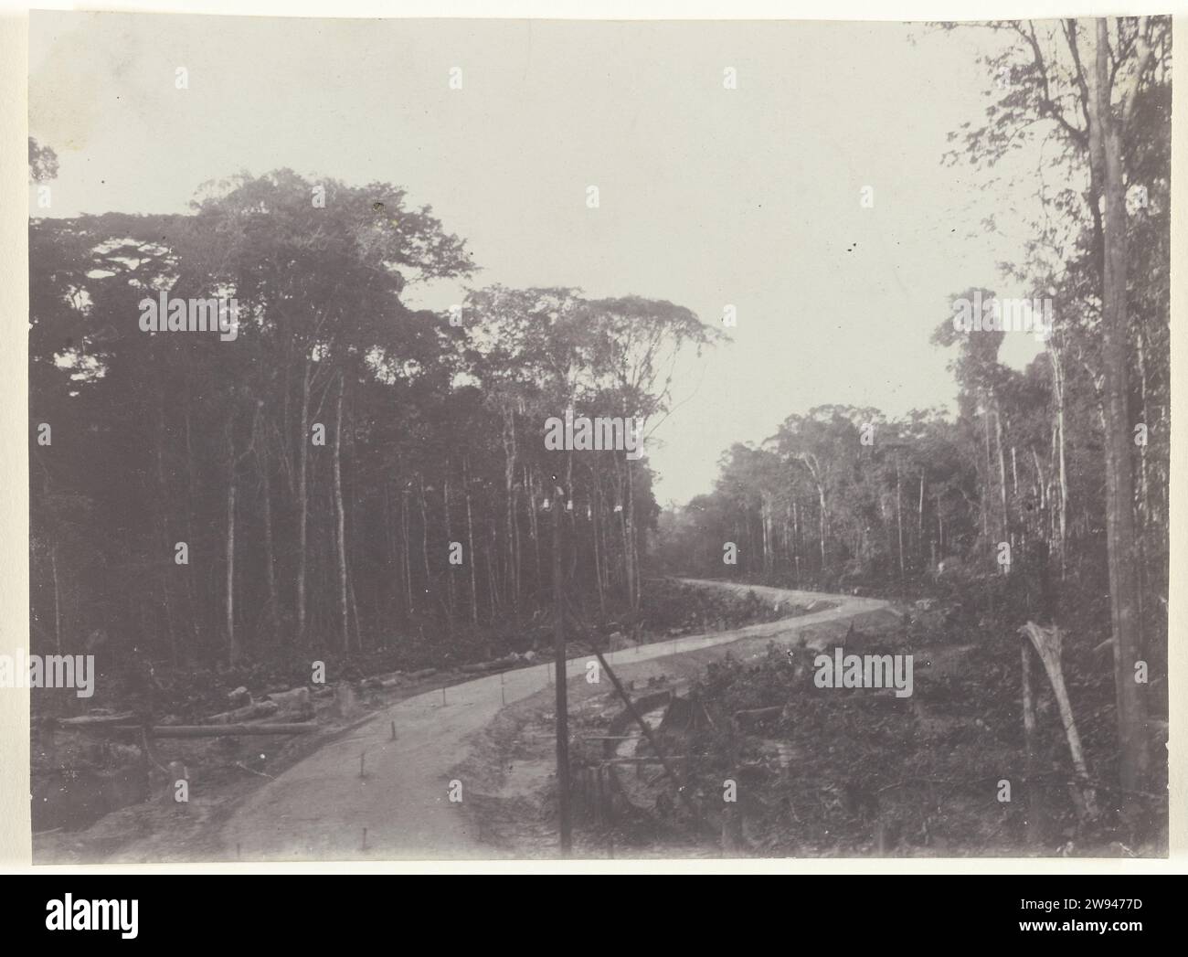 Rail construction in Suriname, 1916 - 1930 photograph Swinging road ...