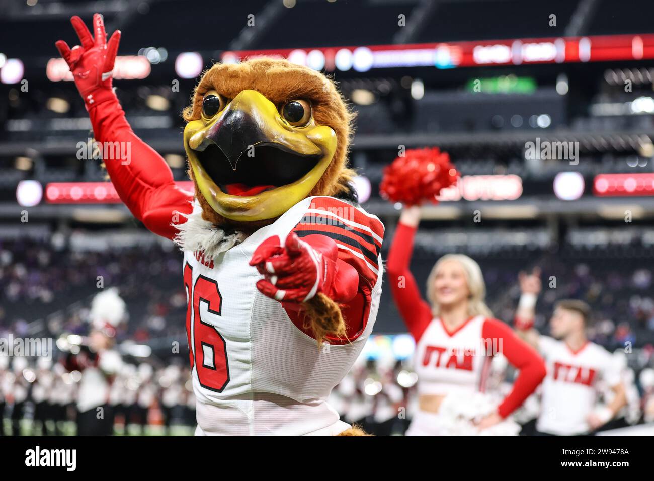 Las Vegas, NV, USA. 23rd Dec, 2023. Swoop, the mascot for the Utah Utes ...