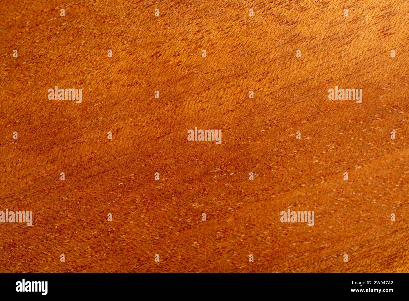 mahogany wood background, close-up of a piece of solid mahogany Stock ...