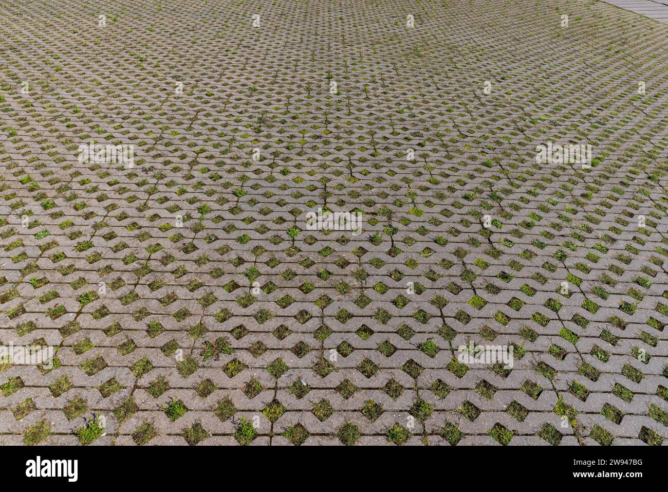 a tile with grass growing in it, a modern concrete tile that allows ...