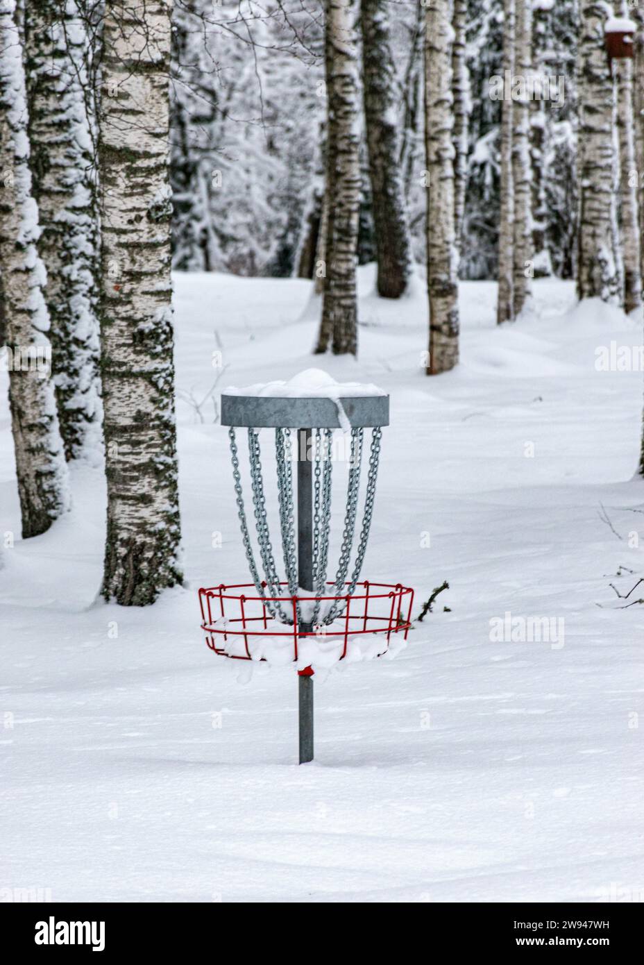 disc golf park, snow covered trees and tree branches, winter day, snow ...