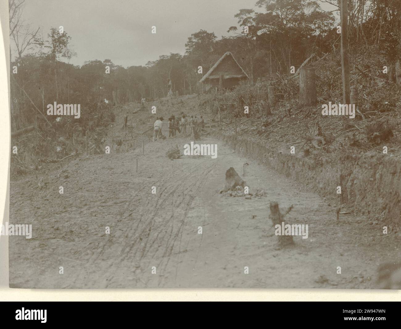 Construction of Railway in Suriname, 1905 - 1910 photograph Groundwork ...