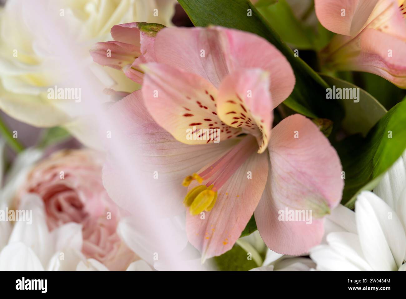 used to create a bouquet of old flowers with defects, a large number of ...