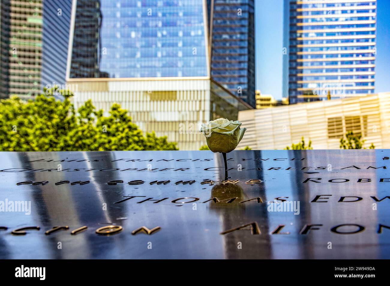 Photo of a white rose at the World Trade Center memorial, a tribute to ...