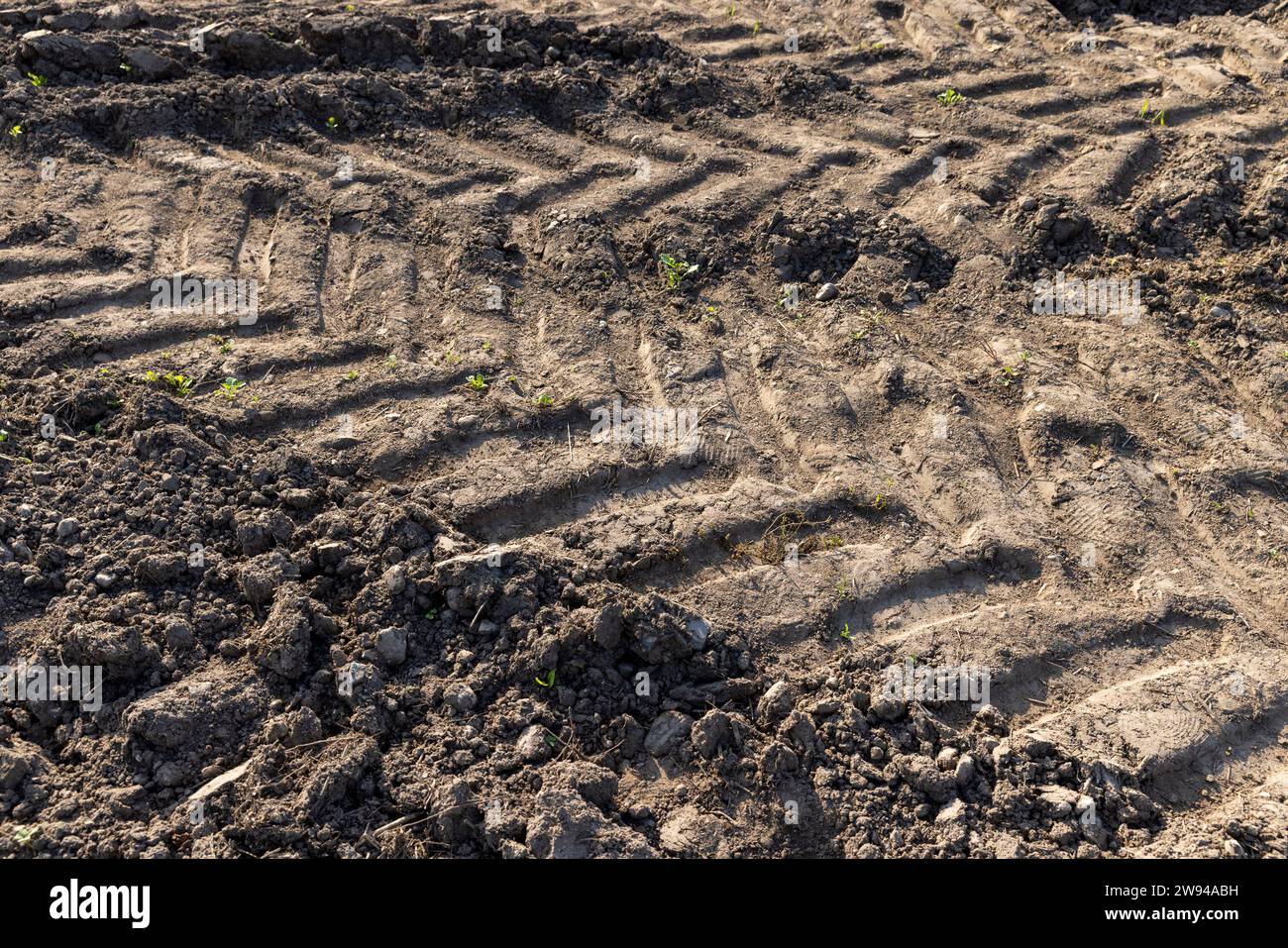 traces of heavy vehicles on a sandy road, tracks from the tread of ...