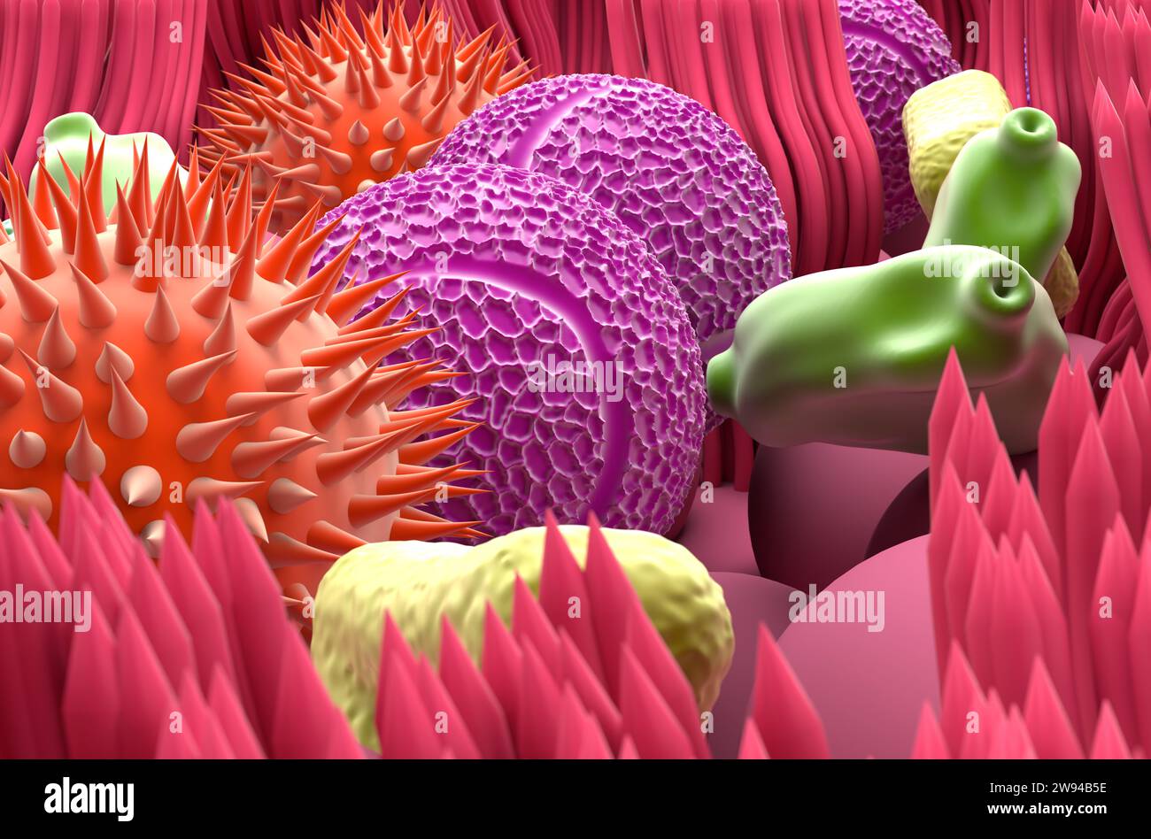Multiple types of pollen grains in the nasal mucosa - closeup view 3d ...