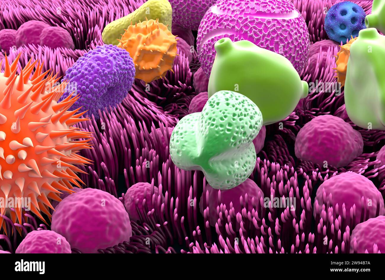 Multiple types of pollen grains in the trachea - closeup view 3d ...