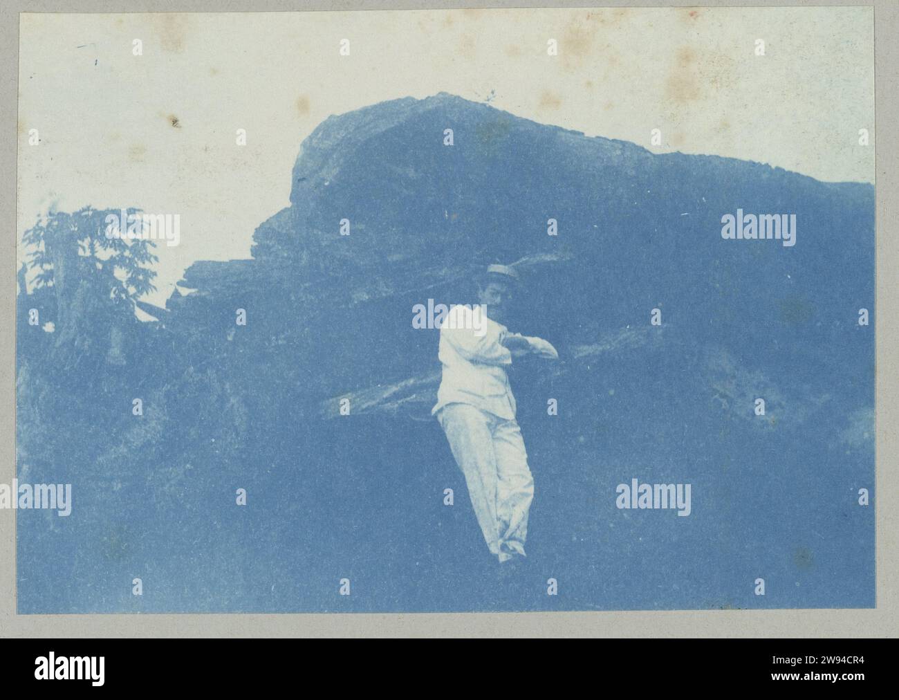 Kankantrie tree hi-res stock photography and images - Alamy