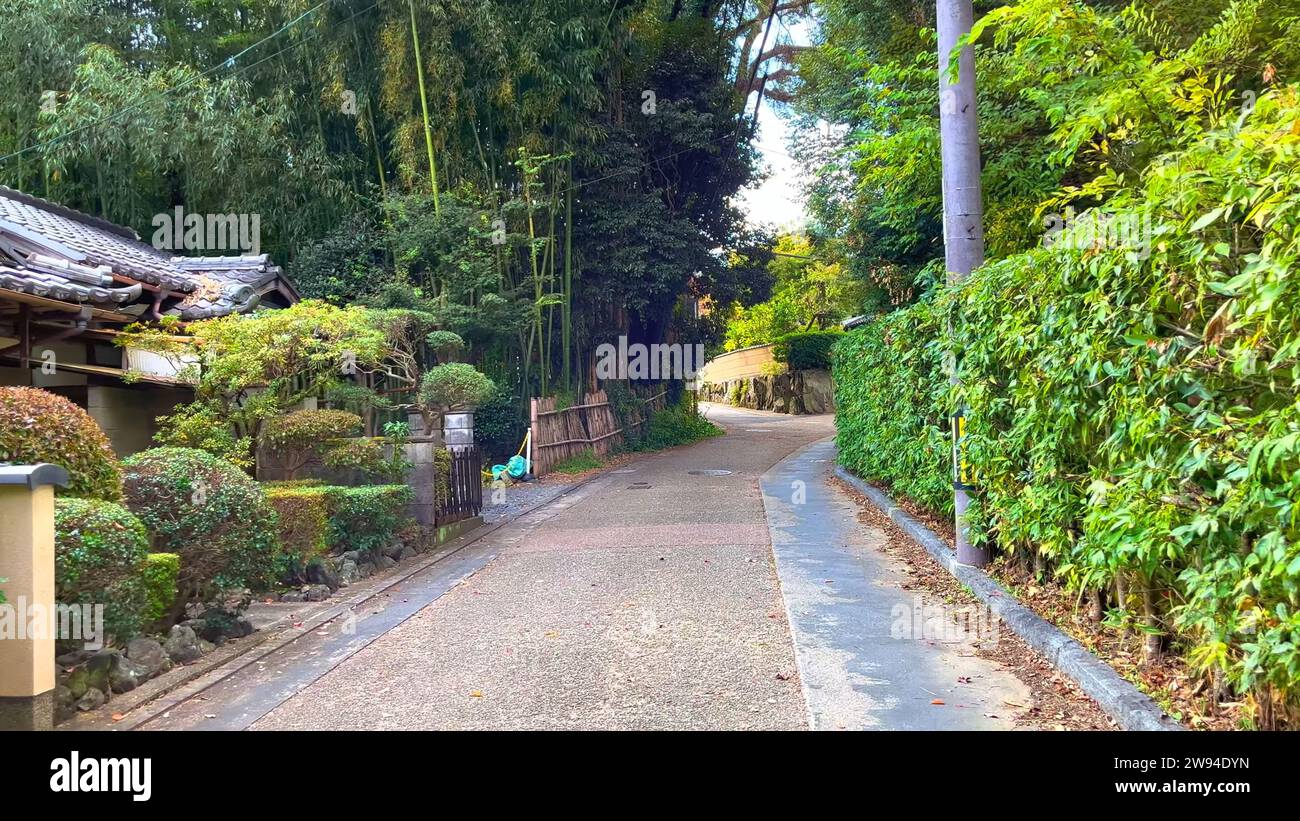 Kyoto Japan Arashiyama Bamboo Forest photo Stock Photo - Alamy