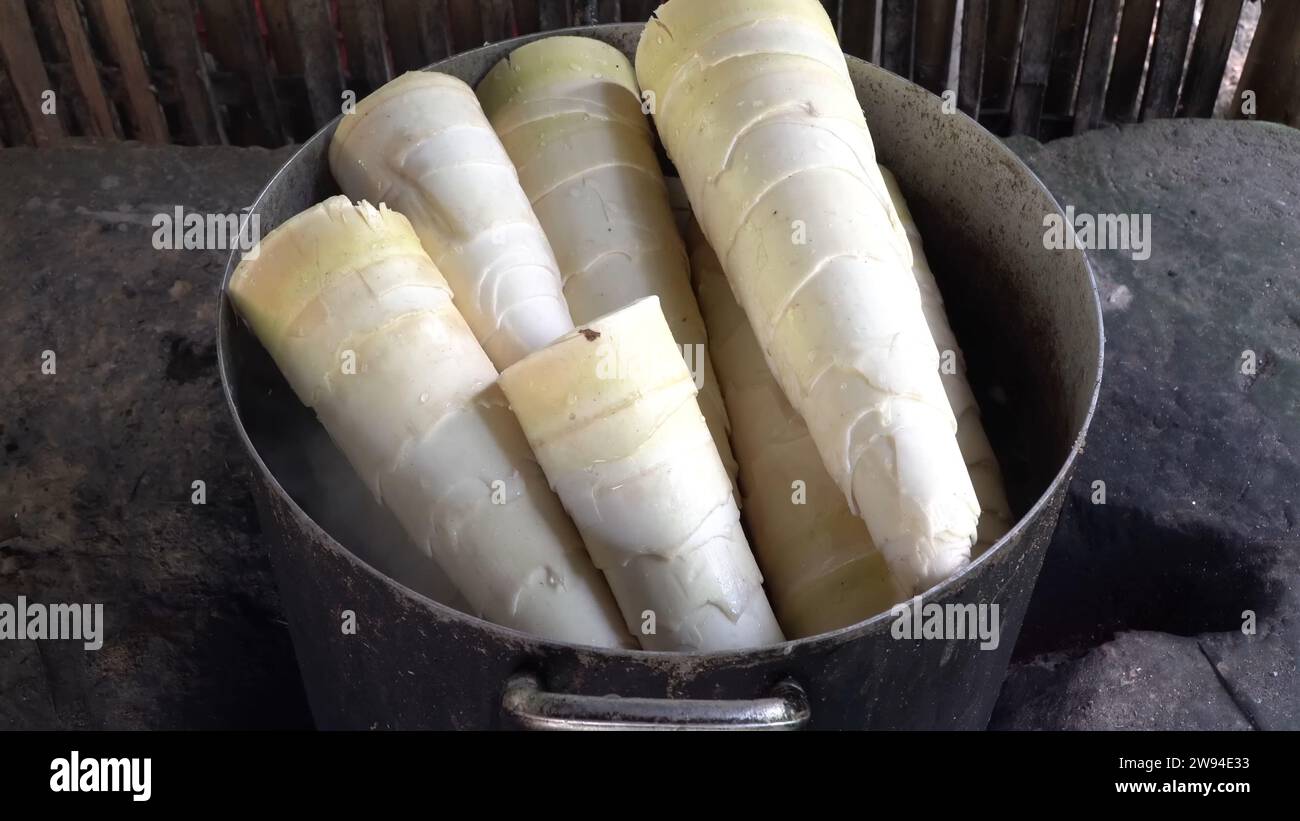 Prepare to boil and preserve the tender, peeled bamboo shoots, ready to ...