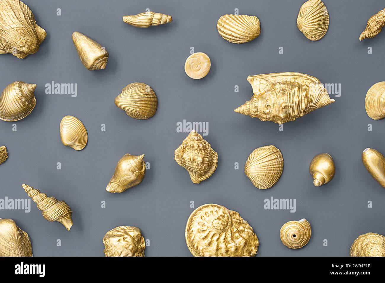 Gold sea shells arrangement Stock Photo - Alamy