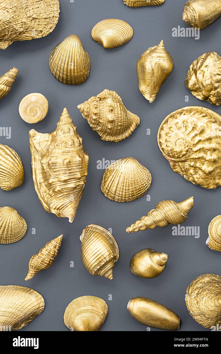 Gold sea shells arrangement Stock Photo - Alamy