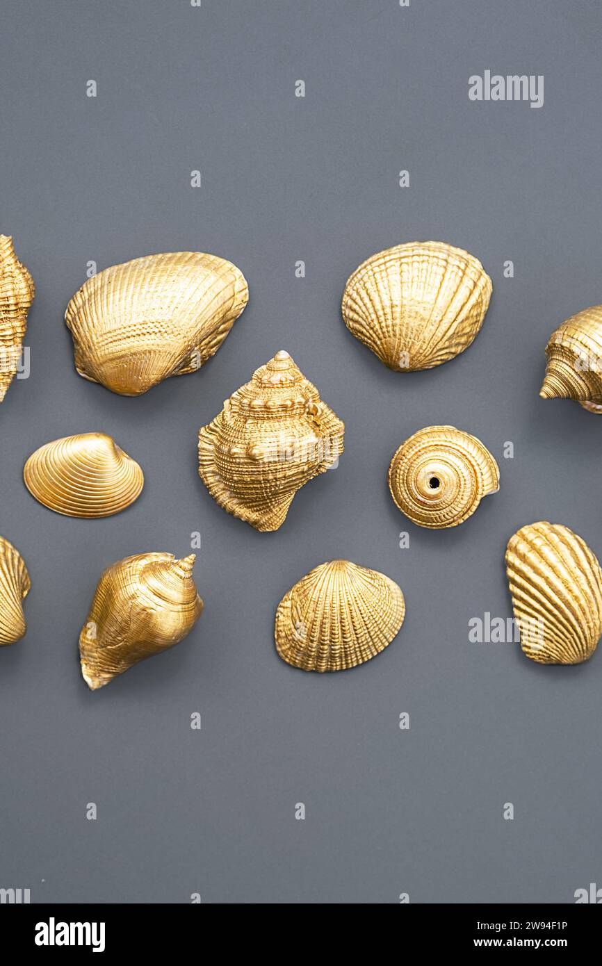 Gold sea shells arrangement Stock Photo - Alamy