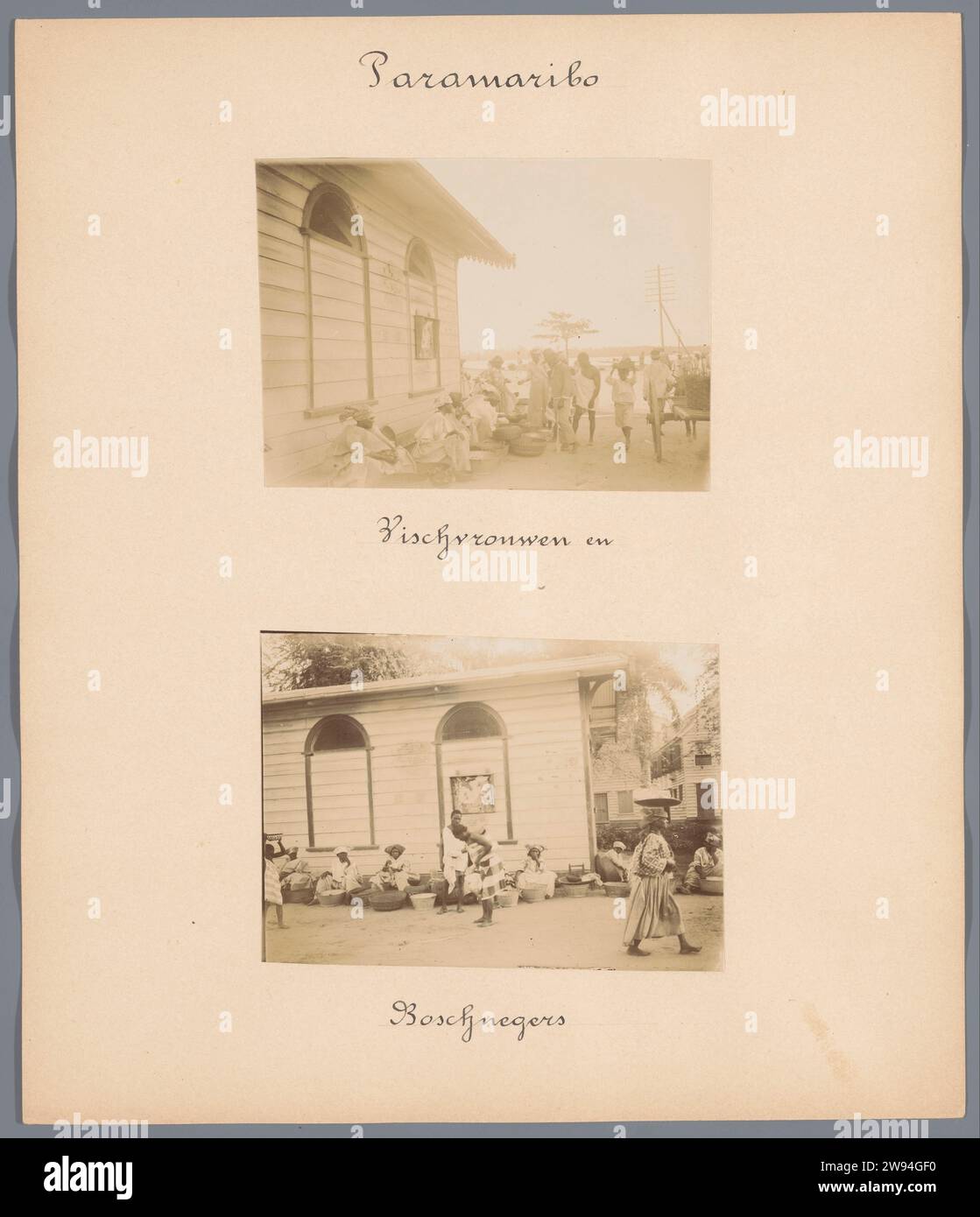 Marrons, Eugen Klein (attributed to), c. 1900 - c. 1905 photograph ...