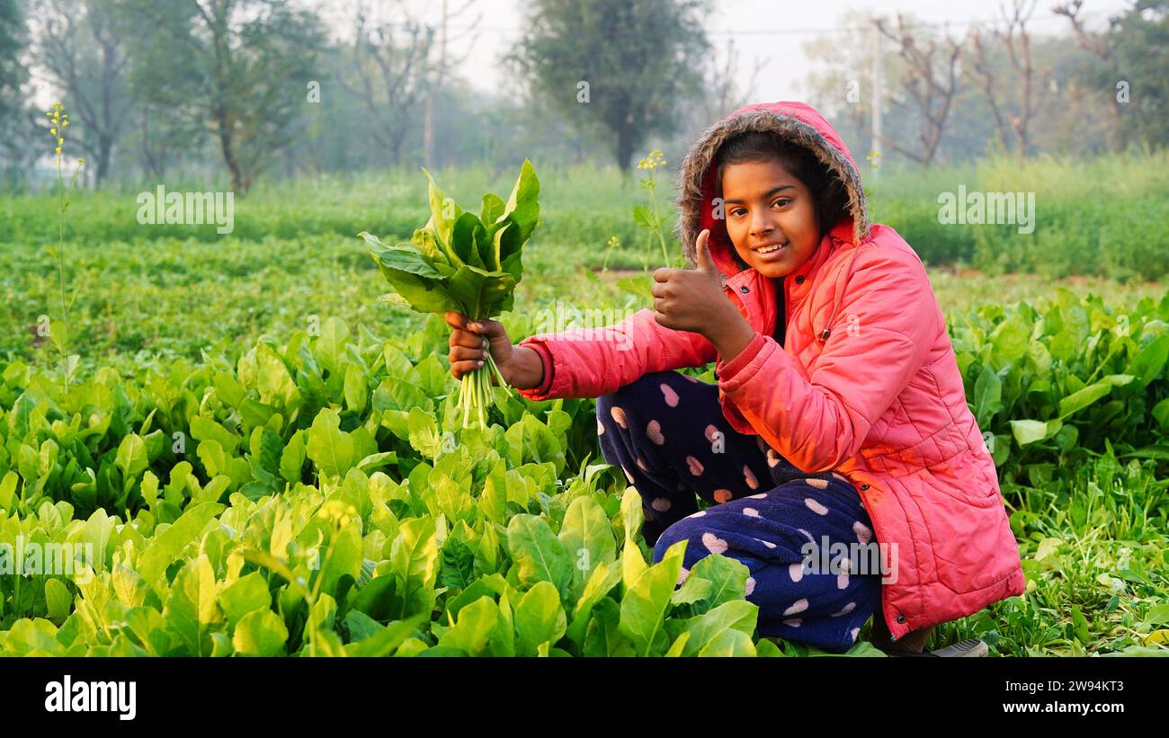 Spinach leaves in kid's hands. Little girl holds green fresh organic ...