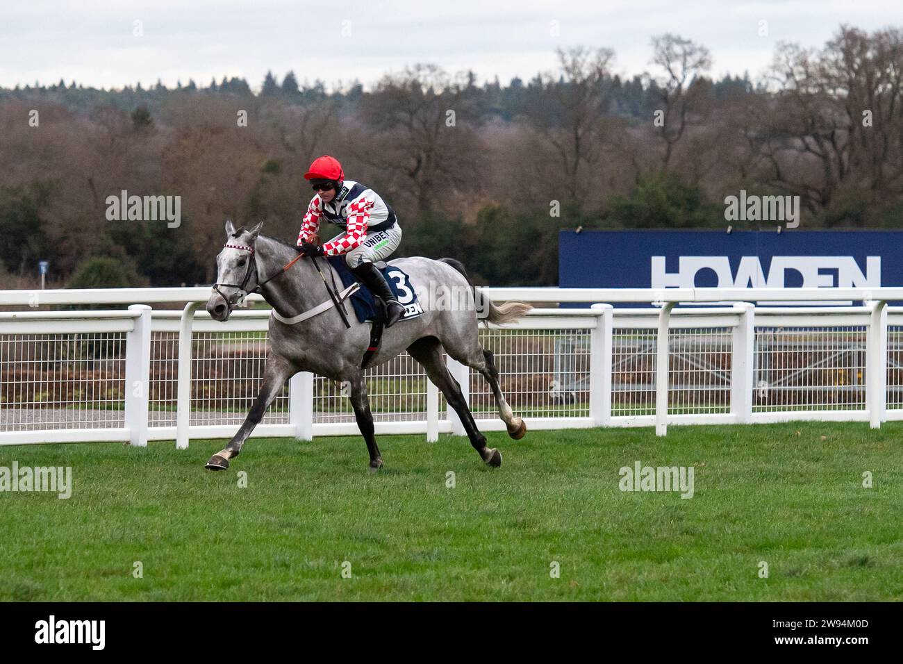 Trainer nicky henderson breeder curie sagara hi-res stock photography and images - Alamy
