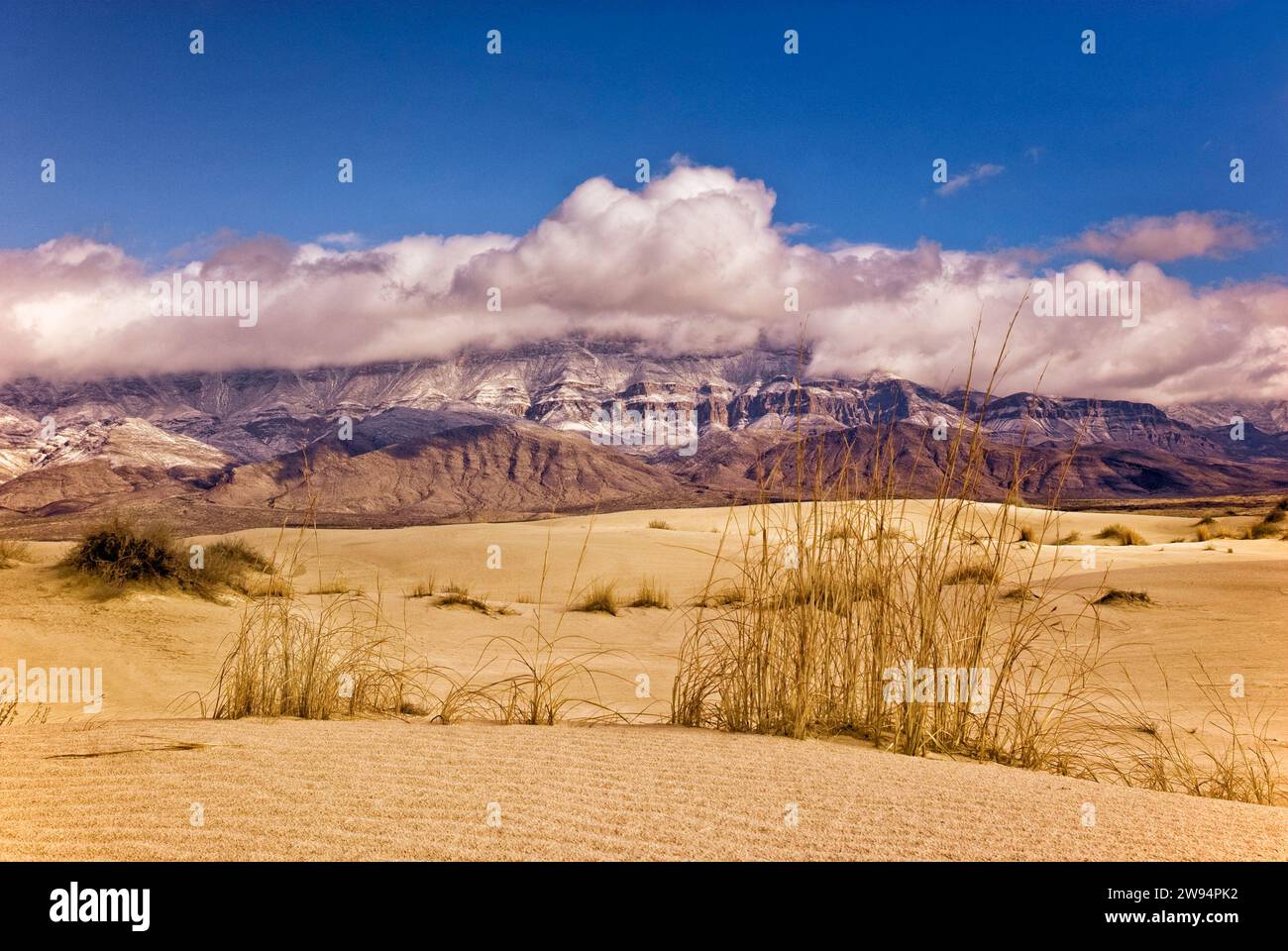 Salt Basin Dunes in front of western escarpment of snowcapped Guadalupe ...