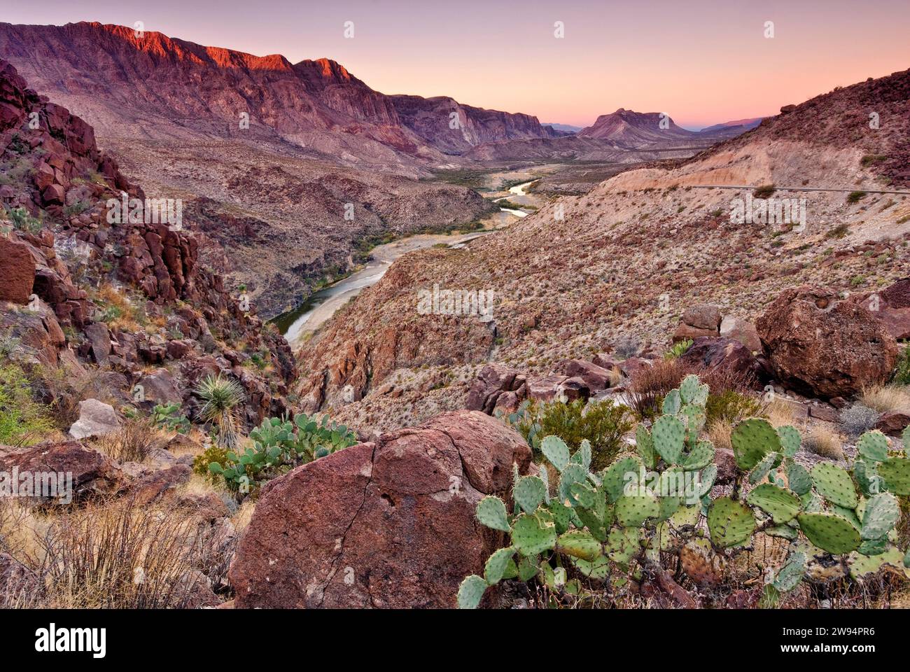 Prickly pear, Rio Grande in Colorado Canyon, sunrise from La Questa ...