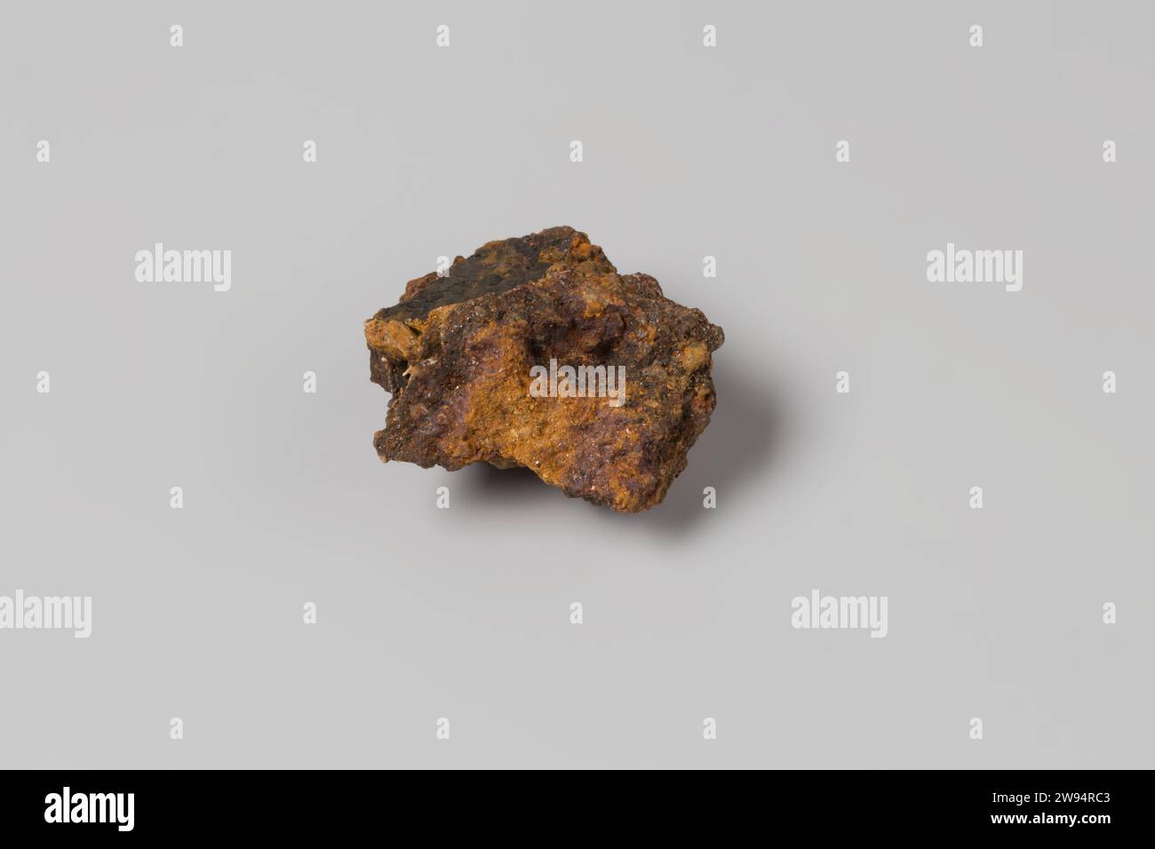 Concretion from the wreck of the East Indies Hollandia, 1700 - in or ...