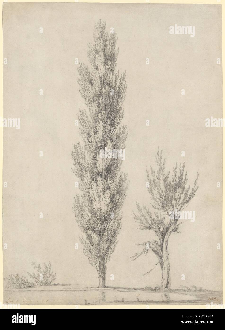 Landscape with a Poplar and a Willow Tree at the Edge of a Pond 1991 by ...