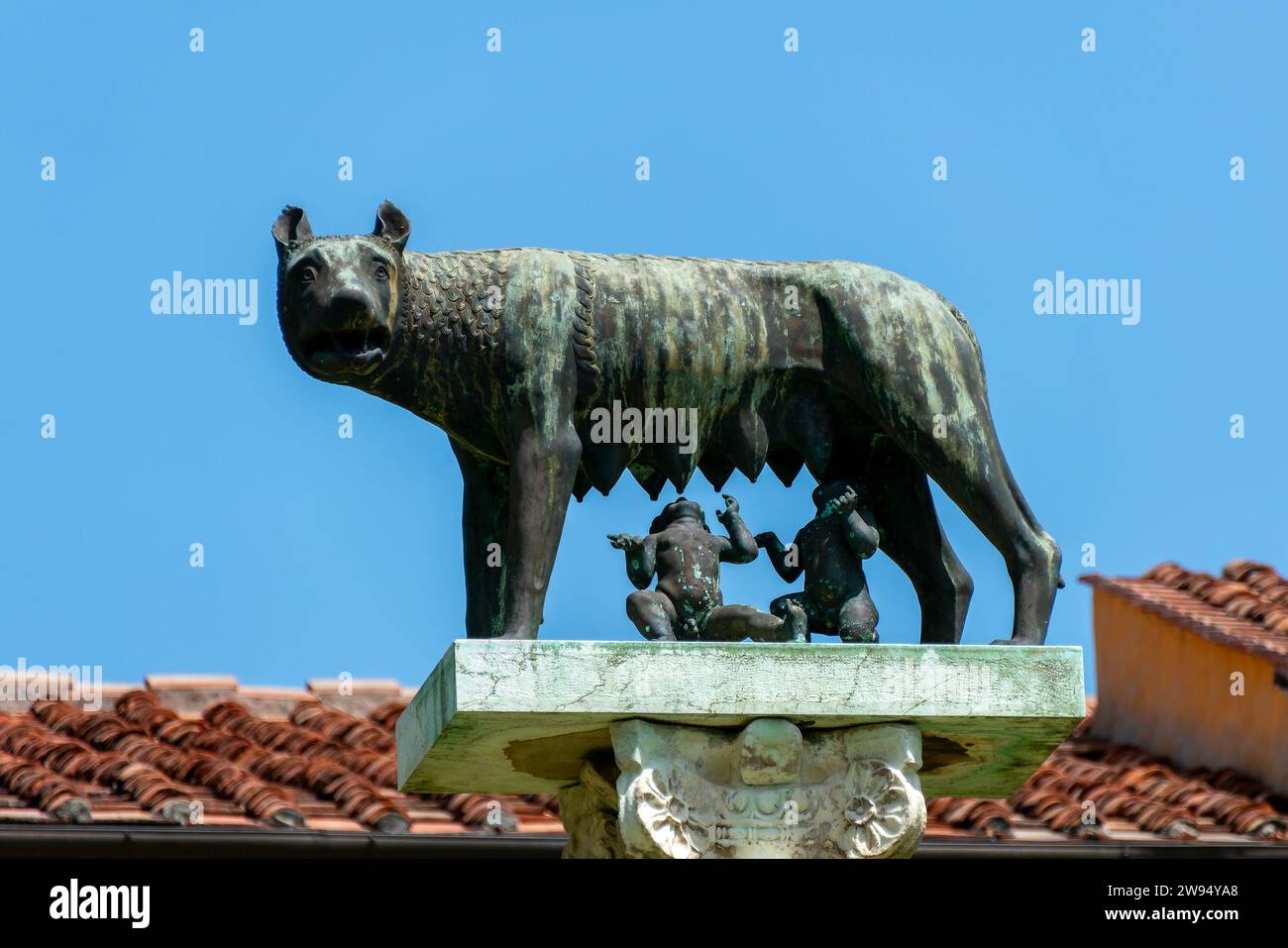 Italy, Pisa, July 26, 2023. Statue of the female wolf with Romulus and ...