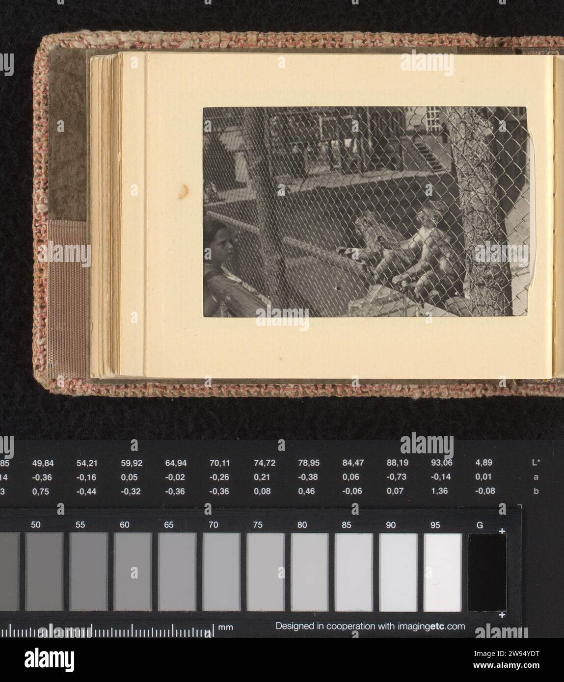 Monkeys in the Zoo, July-August 1933, Hamburg, Wachenheimer family ...