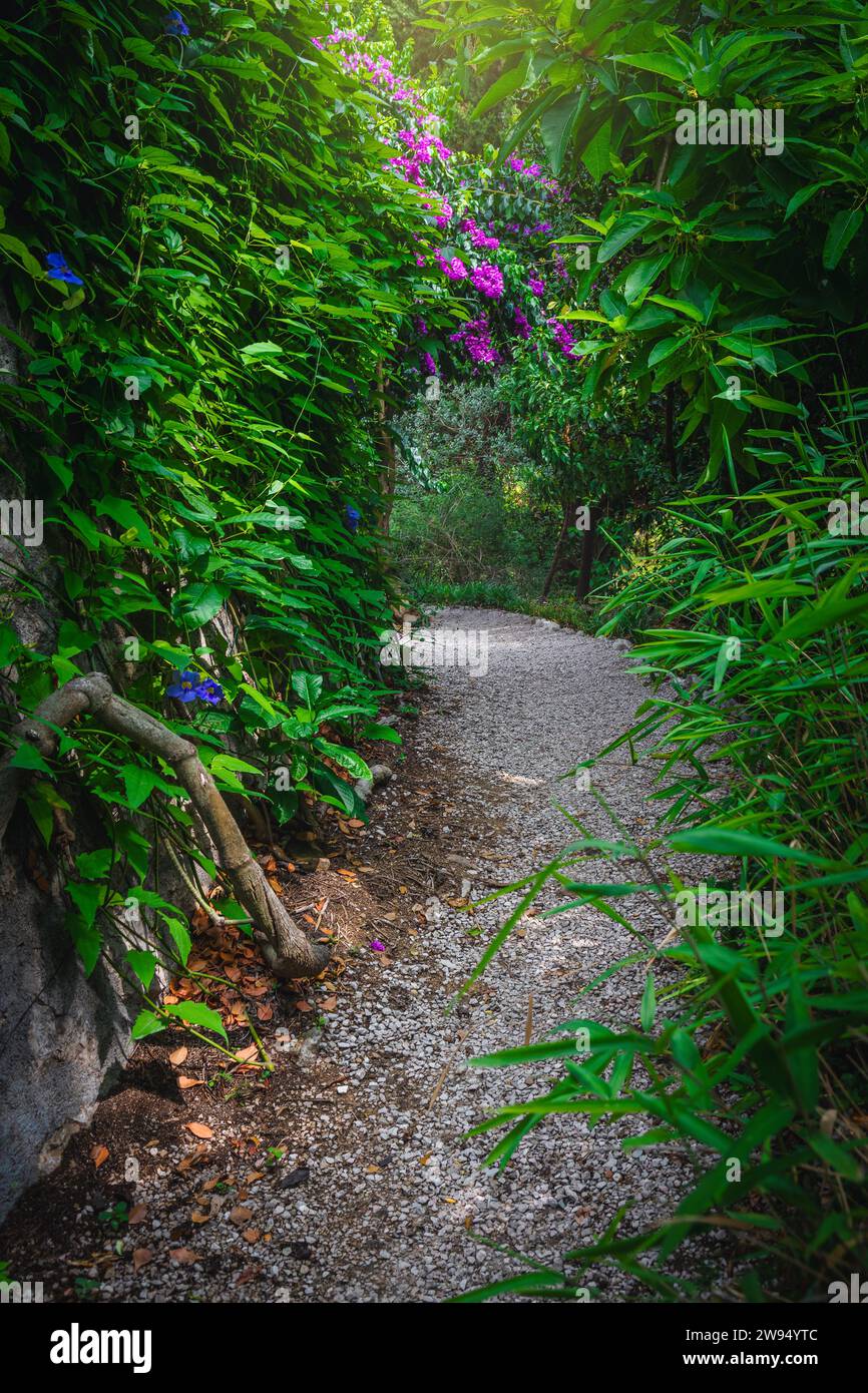 Gravel pathway hi-res stock photography and images - Alamy