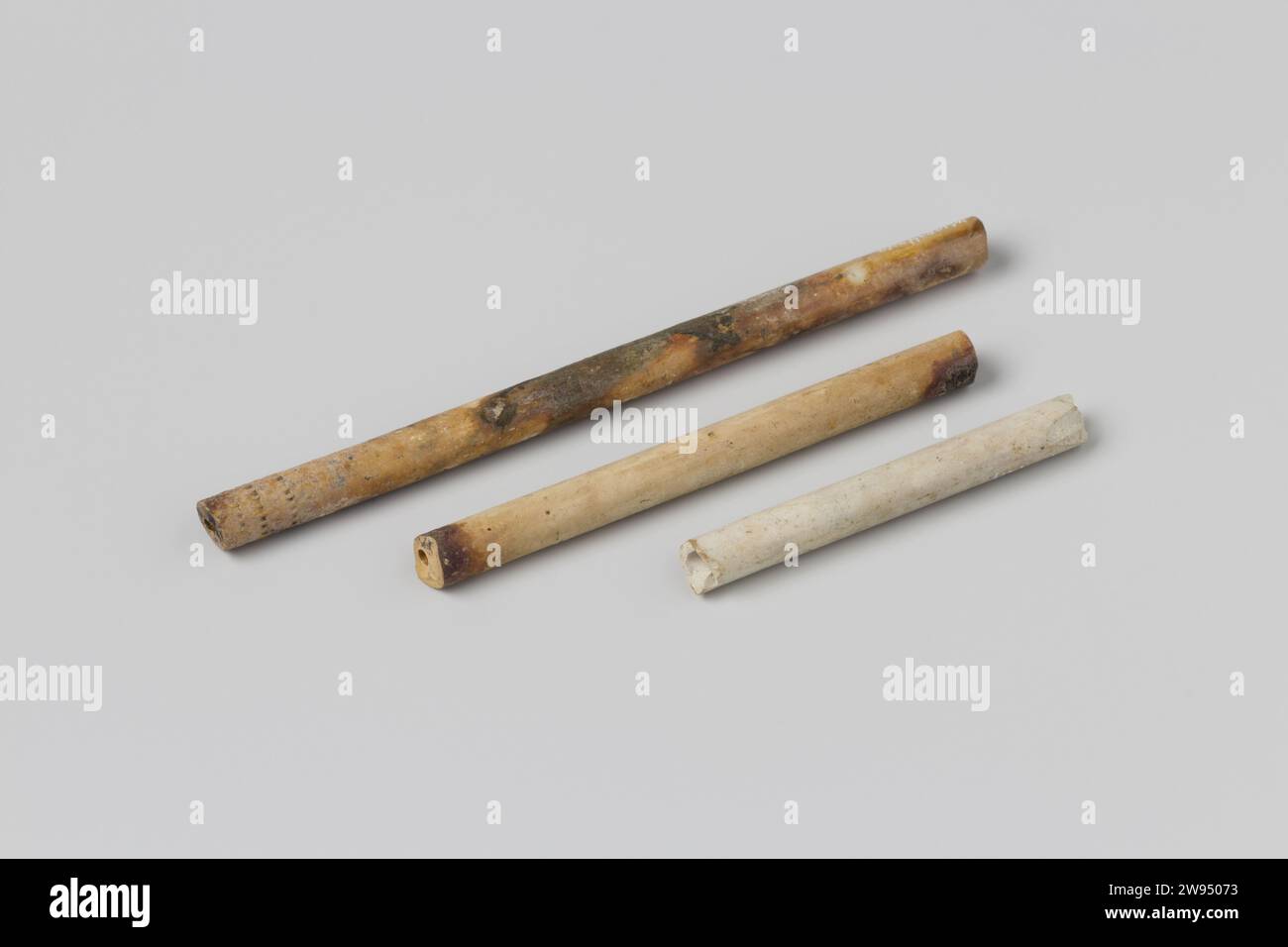 Fragments Pipe stems from the wreck of the East Indians Hollandia ...