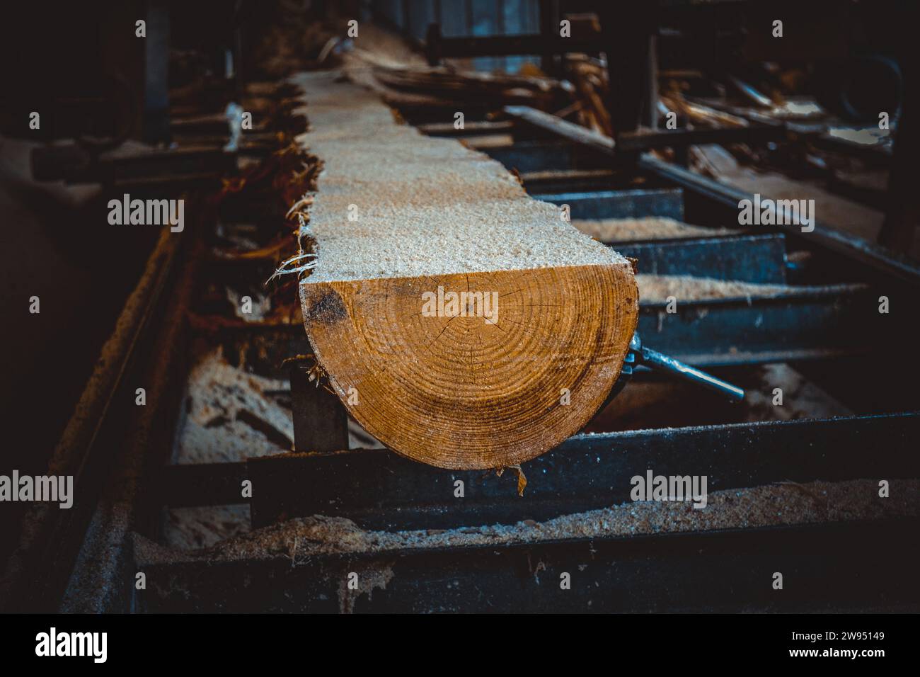 Sawmill. Process of machining logs in equipment sawmill machine saw ...