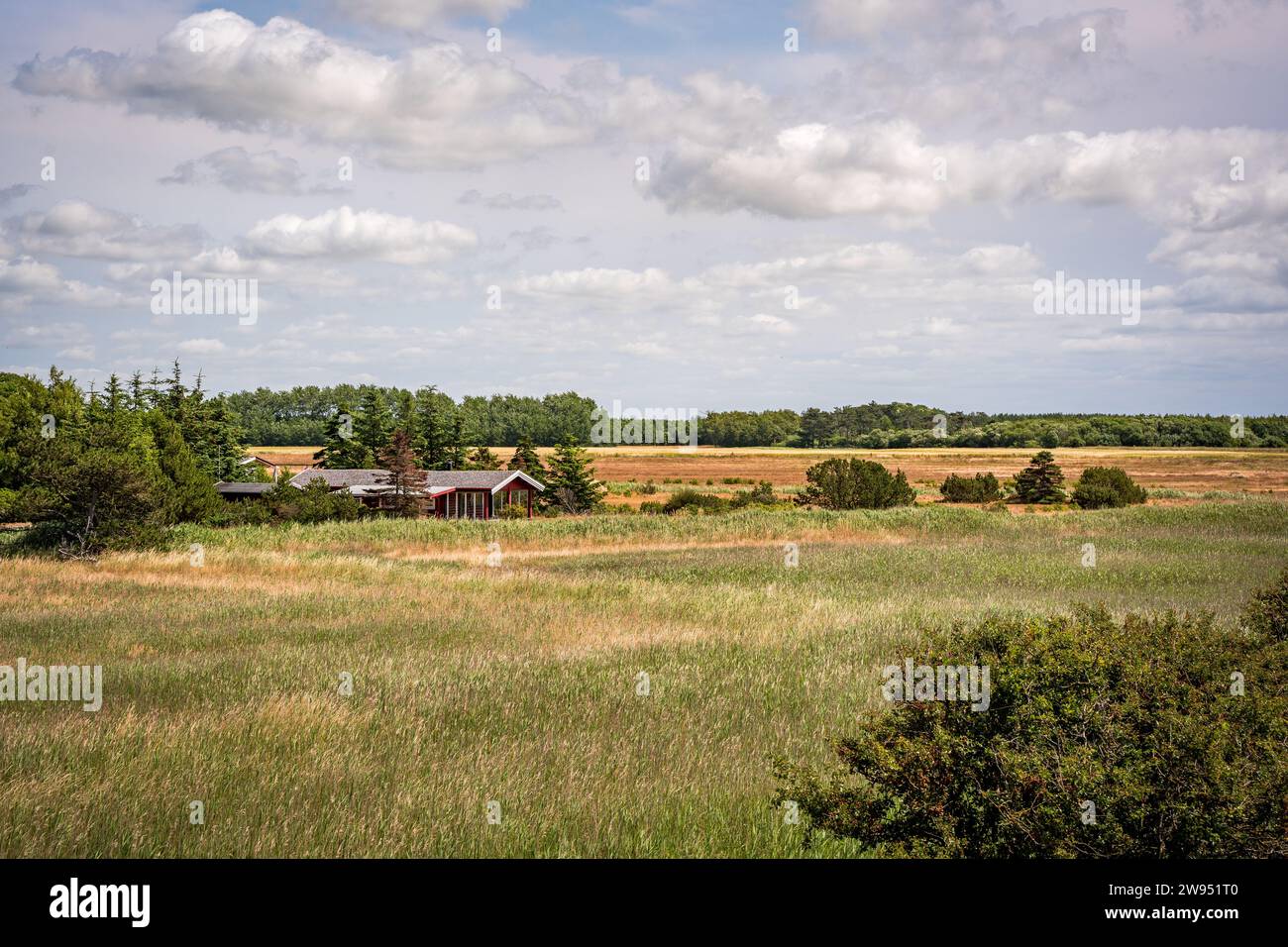 rural country side of denmark Stock Photo - Alamy