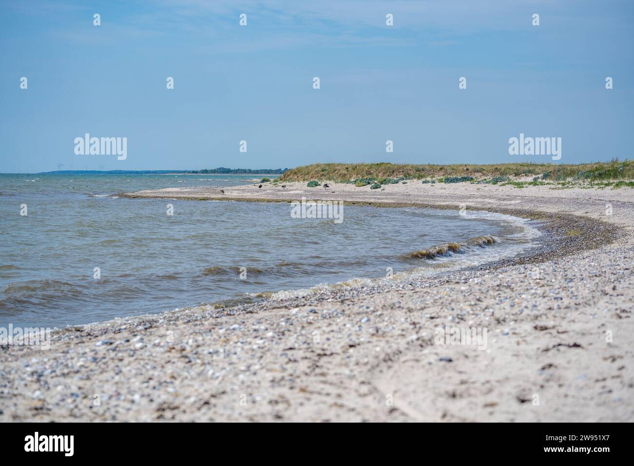 danish beach in summer Stock Photo - Alamy