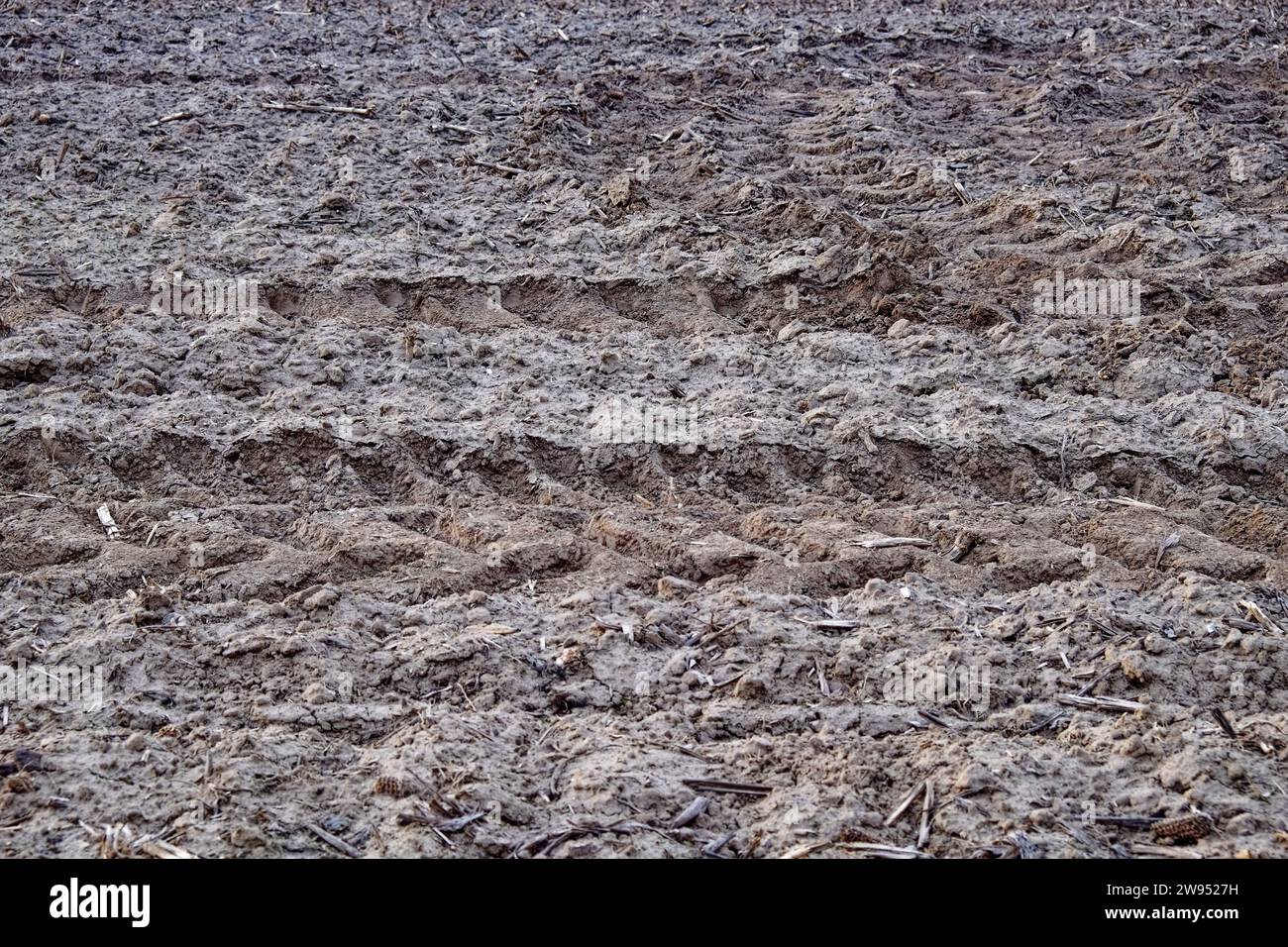 The image shows a close-up of tire tracks on muddy ground, with visible ...