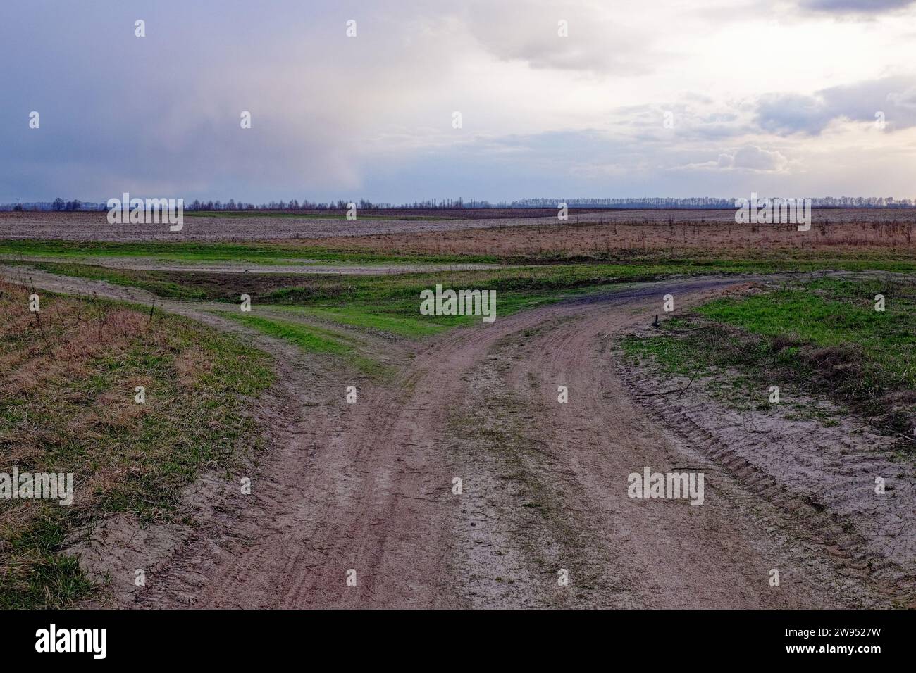 A dirt path splits, leading into an expansive field under a cloudy sky ...