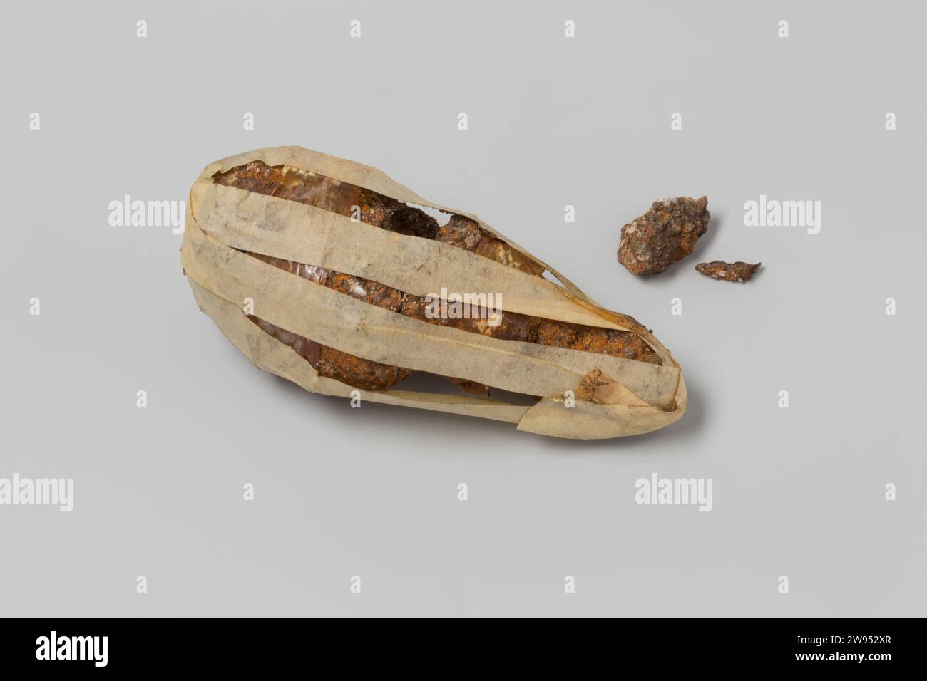 Circular concretion in a stone hi-res stock photography and images - Alamy