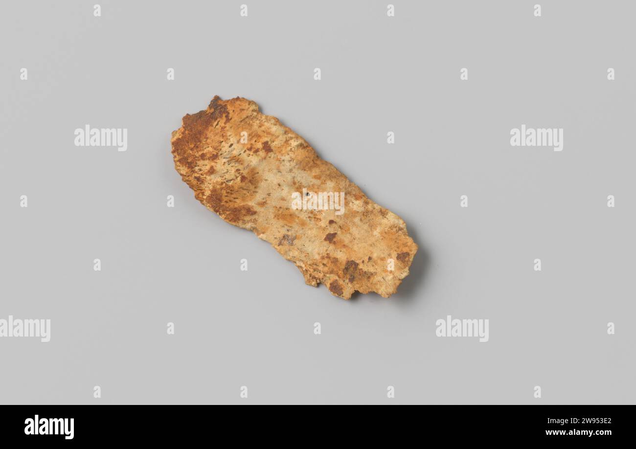 Excerpt rib from a beef from the wreck of the East Indians Hollandia ...