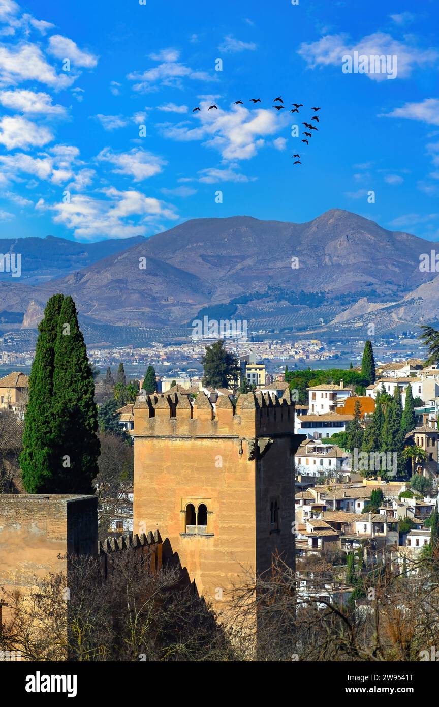 Architecture Alhambra Palace and Fortress Complex, Granada, Spain Stock ...