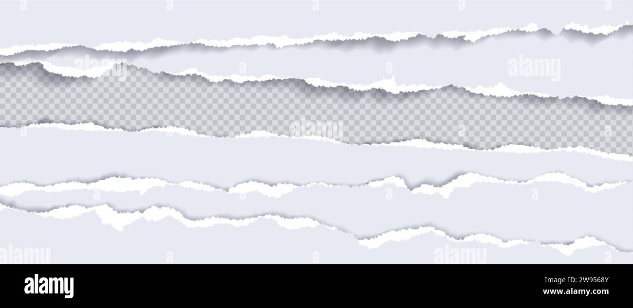 Uneven edges of torn paper pages on transparent background. Vector ...