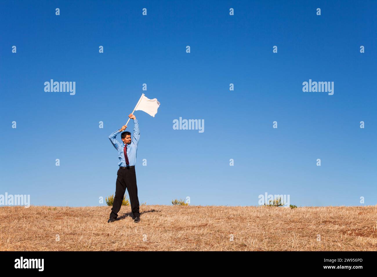 businessman asking for surrendering holding a white flag Stock Photo ...