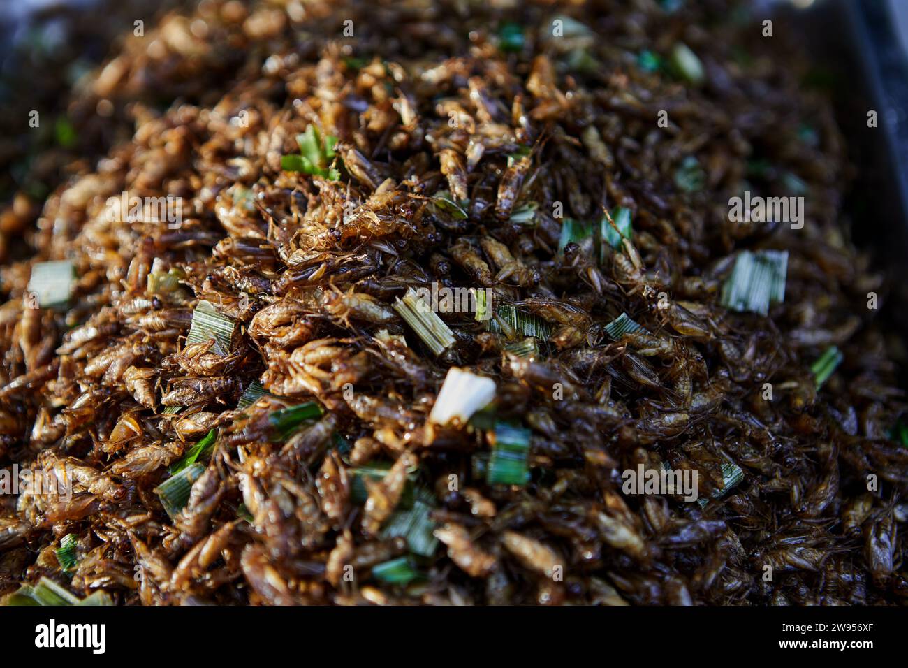 Deep fried crickets at street market Stock Photo - Alamy