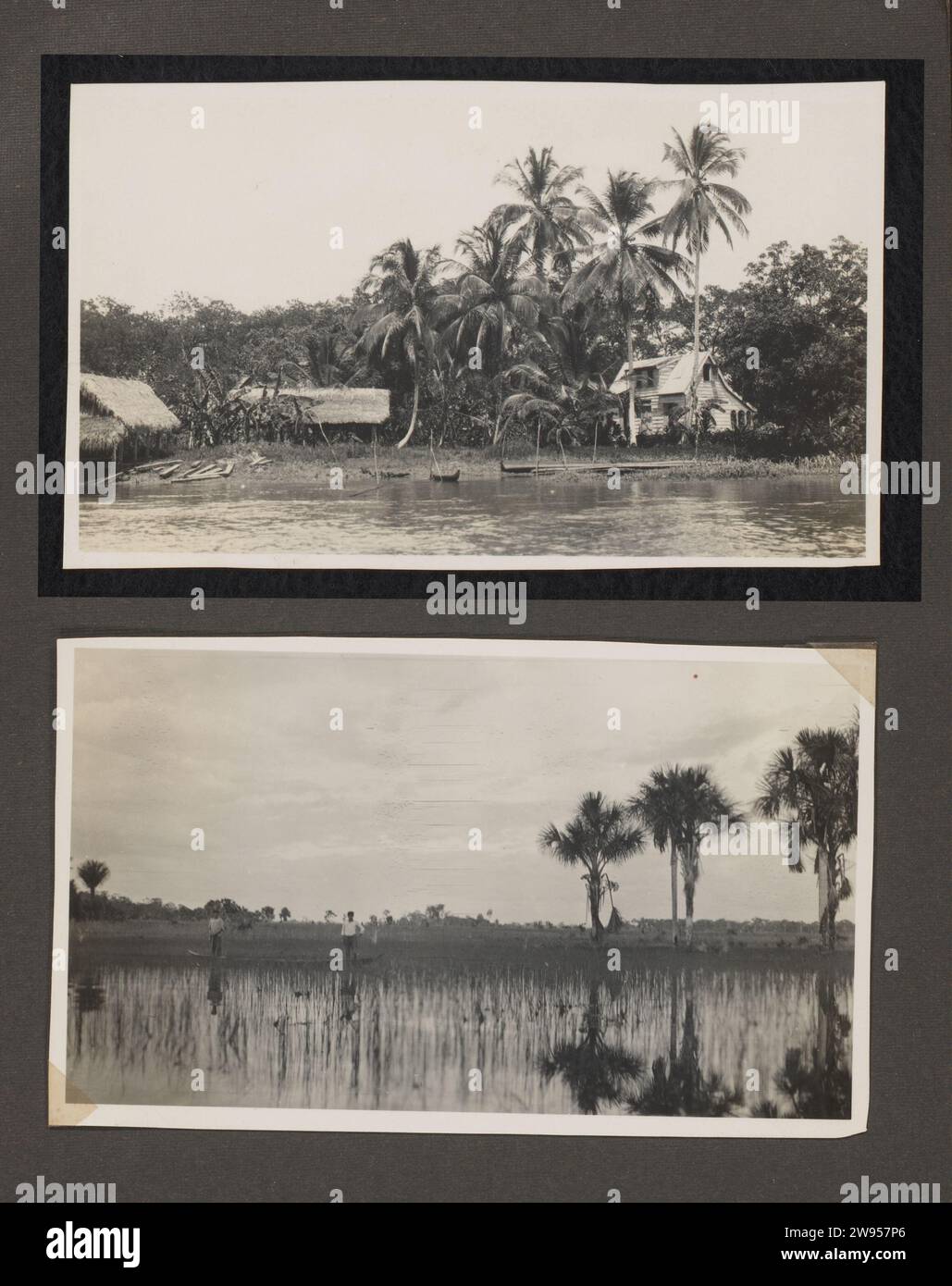 Saramacca and rice field, anonymous, 1925 - 1935 photograph Album ...