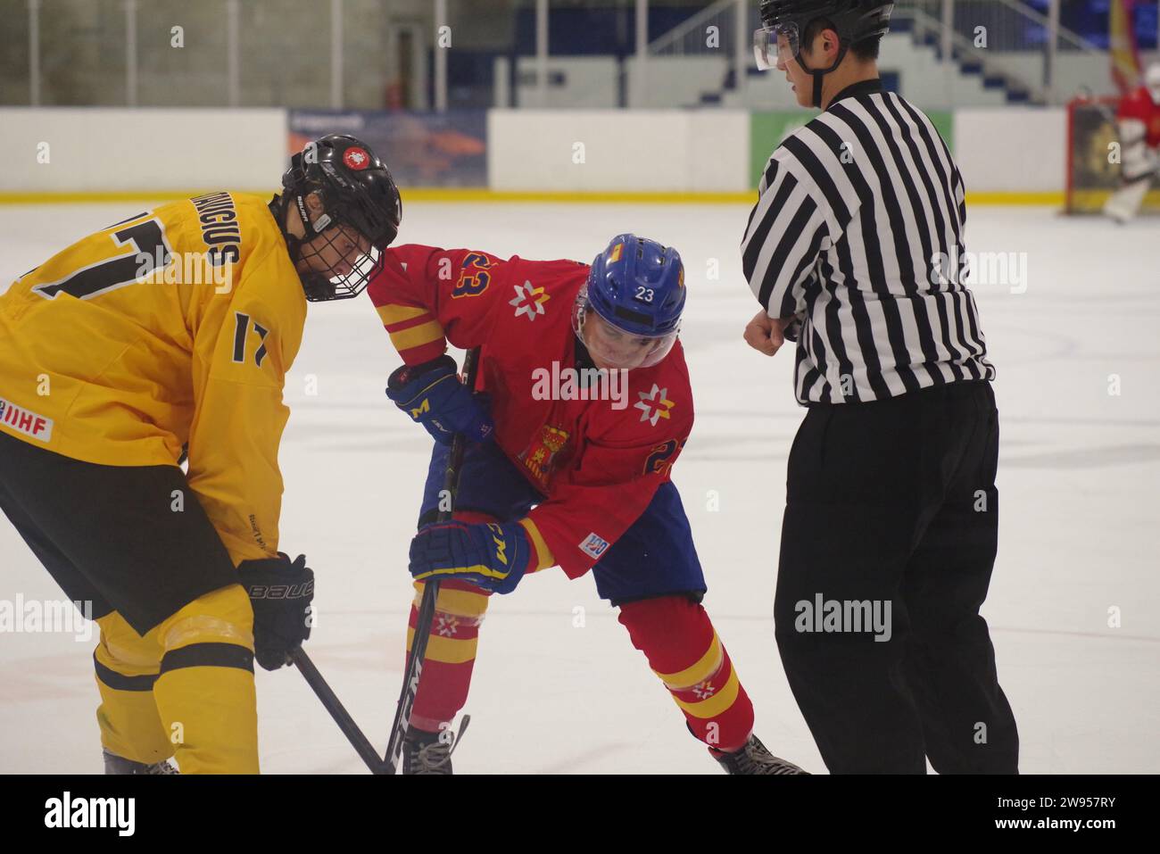 Ignatavicius hi-res stock photography and images - Alamy