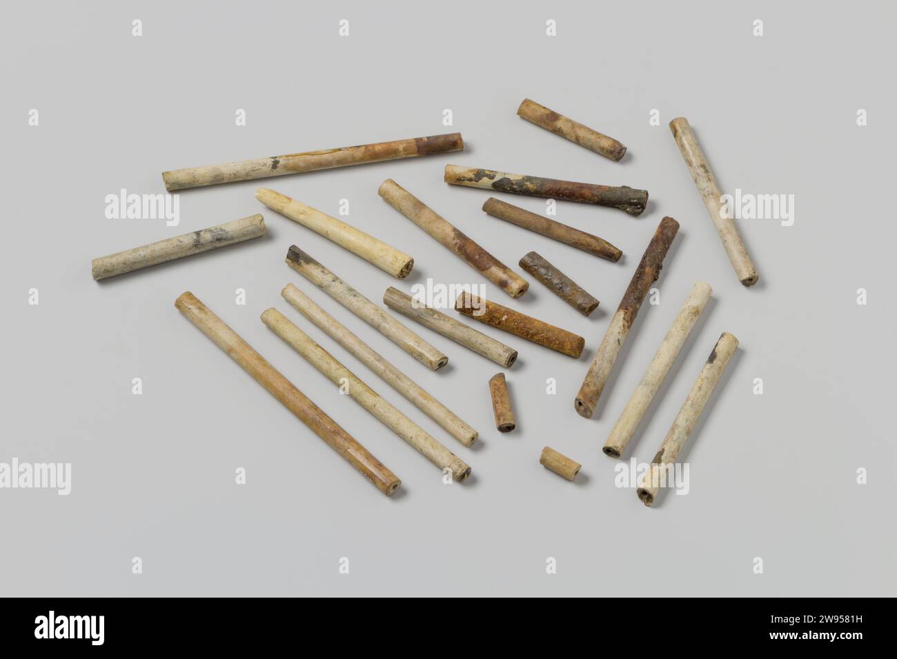 Fragments Pipe stems from the wreck of the East Indians Hollandia ...